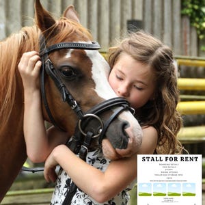Horse Stall for Rent Advertisement Flyer Poster, Equine Barn Opening ...
