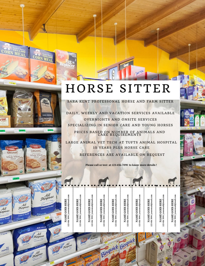 Editable Horse Sitter Flyer Template: Farm Sitting Advertisement (PDF ...