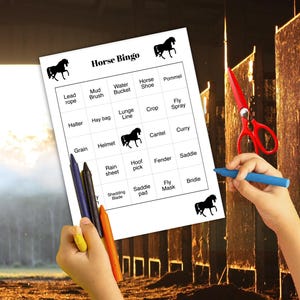 Pony Bingo Game Horse Birthday Party Activity (printable PDF), Horse ...