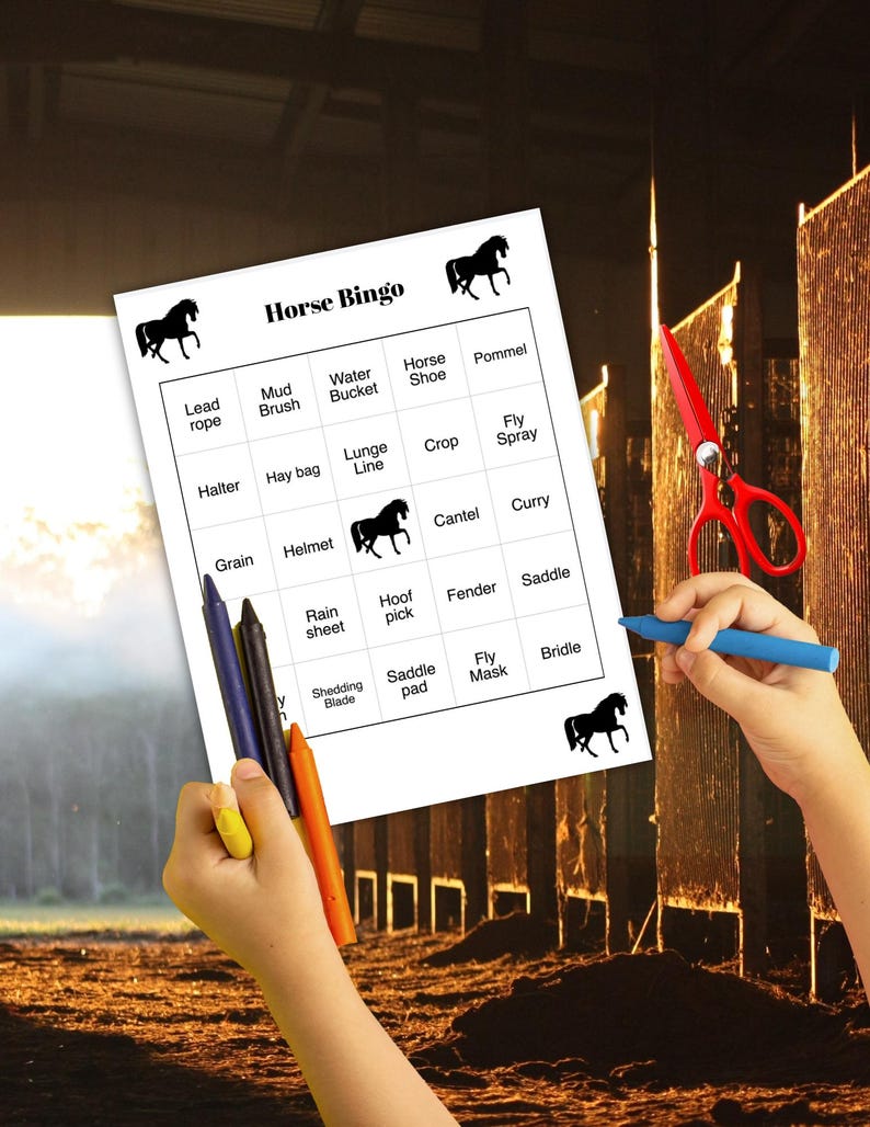 Pony Bingo Game Horse Birthday Party Activity (printable PDF), Horse ...