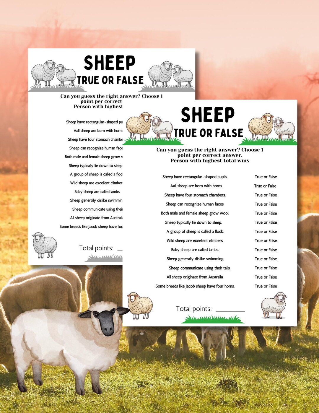 Sheep True or False Trivia Game: Farm Animal Quiz (printable PDF ...