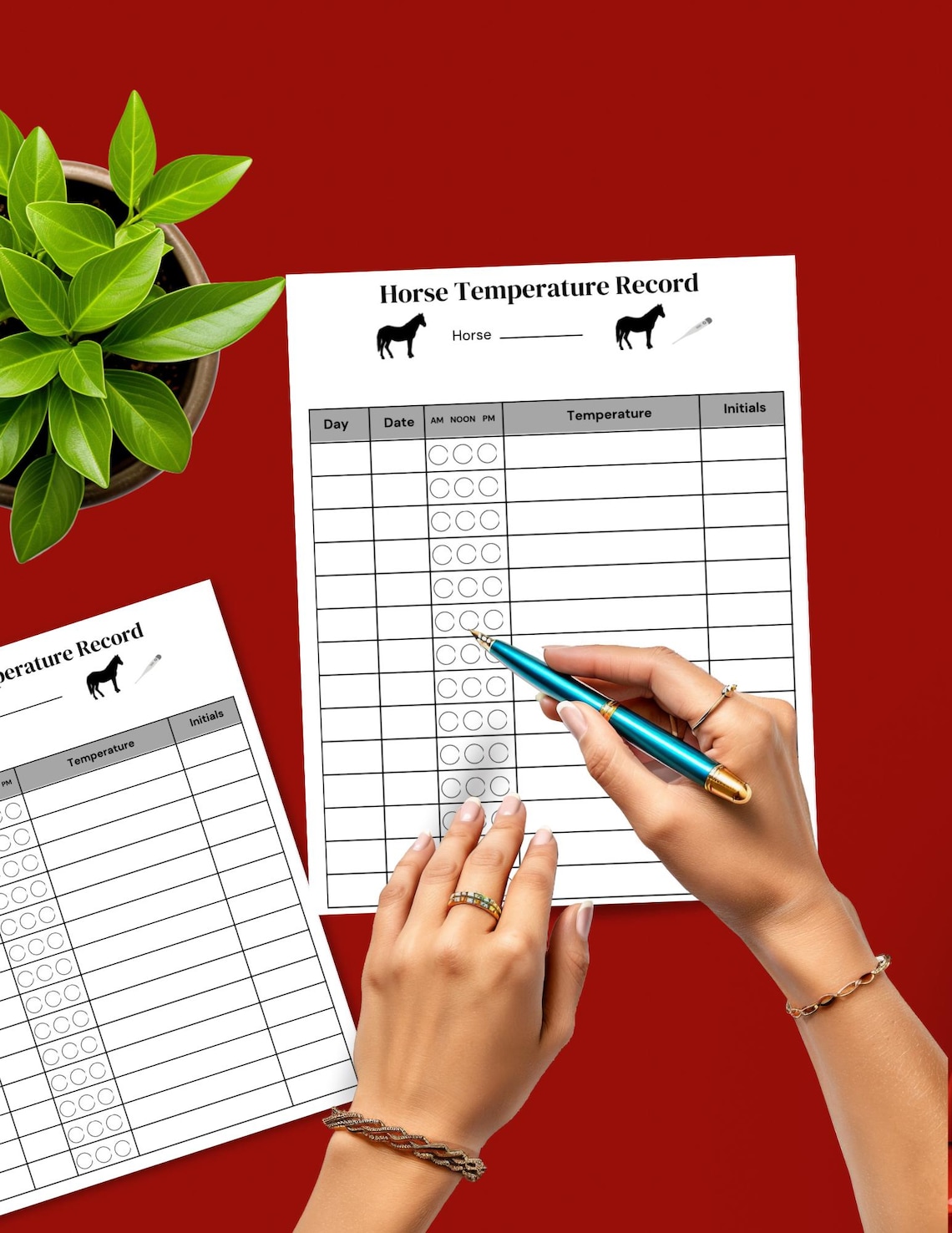 Printable Horse Temperature Chart, Health Tracker,equine Temperature ...