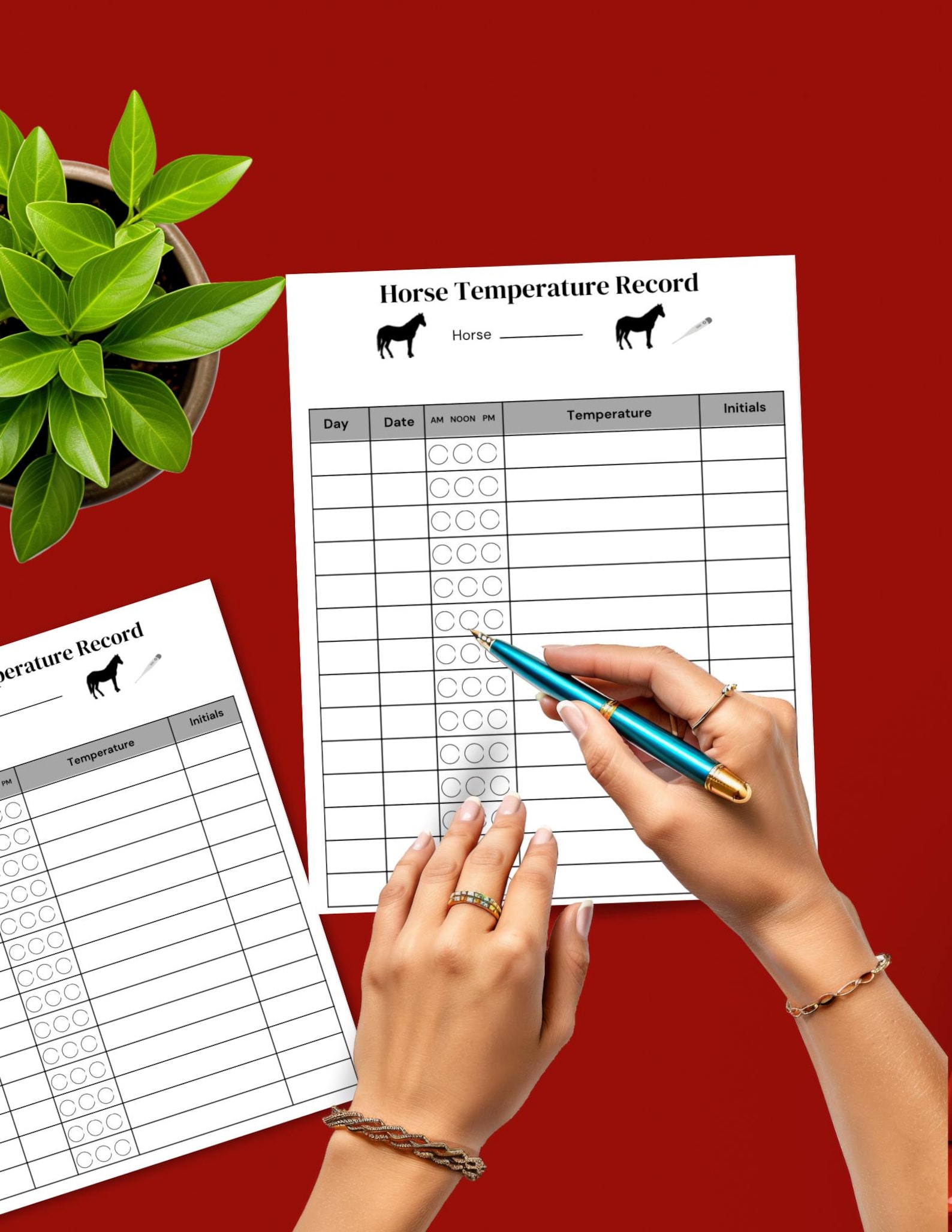 Printable Horse Temperature Chart, Health Tracker,equine Temperature ...