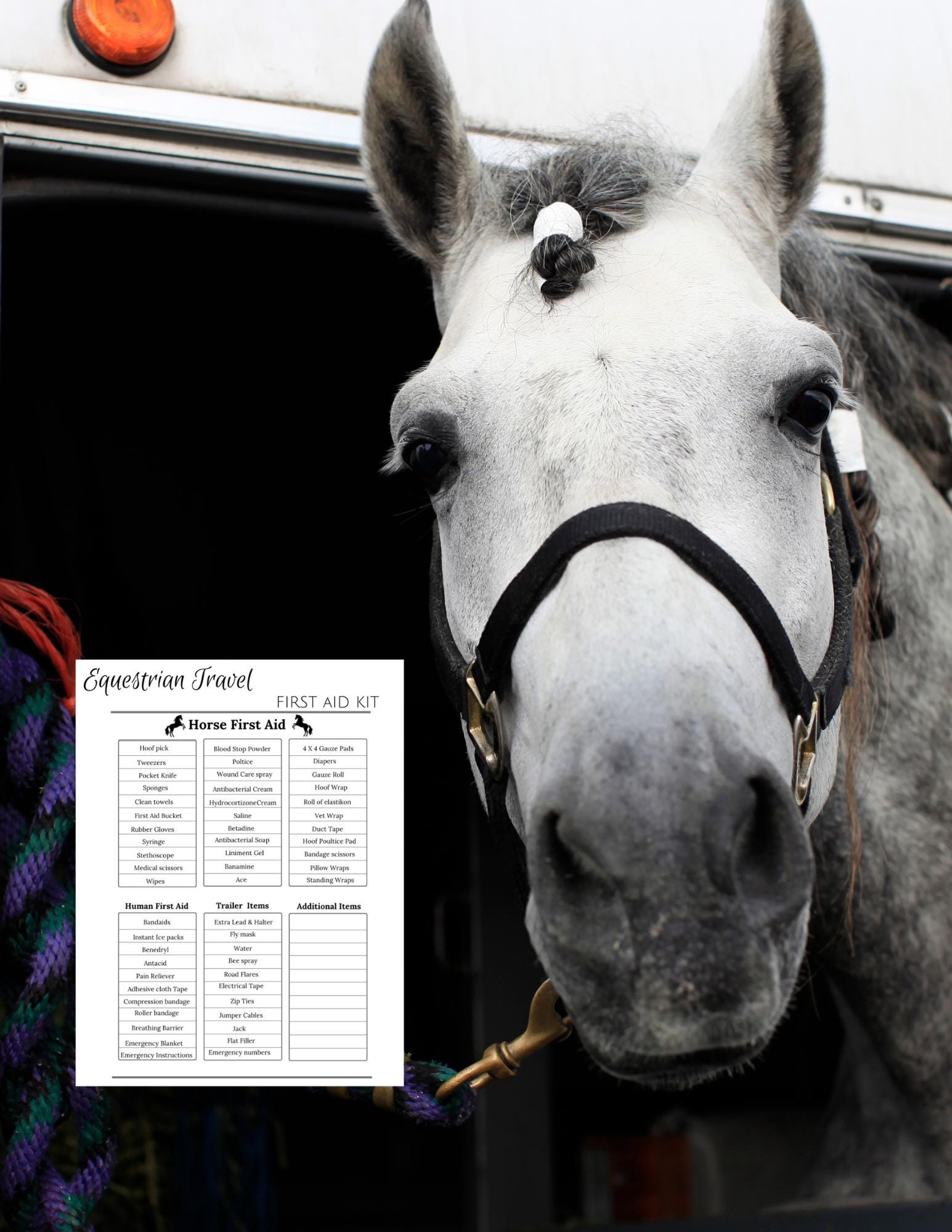 Equestrian First Aid Checklist,horse & Rider Medical Kit,horse First ...