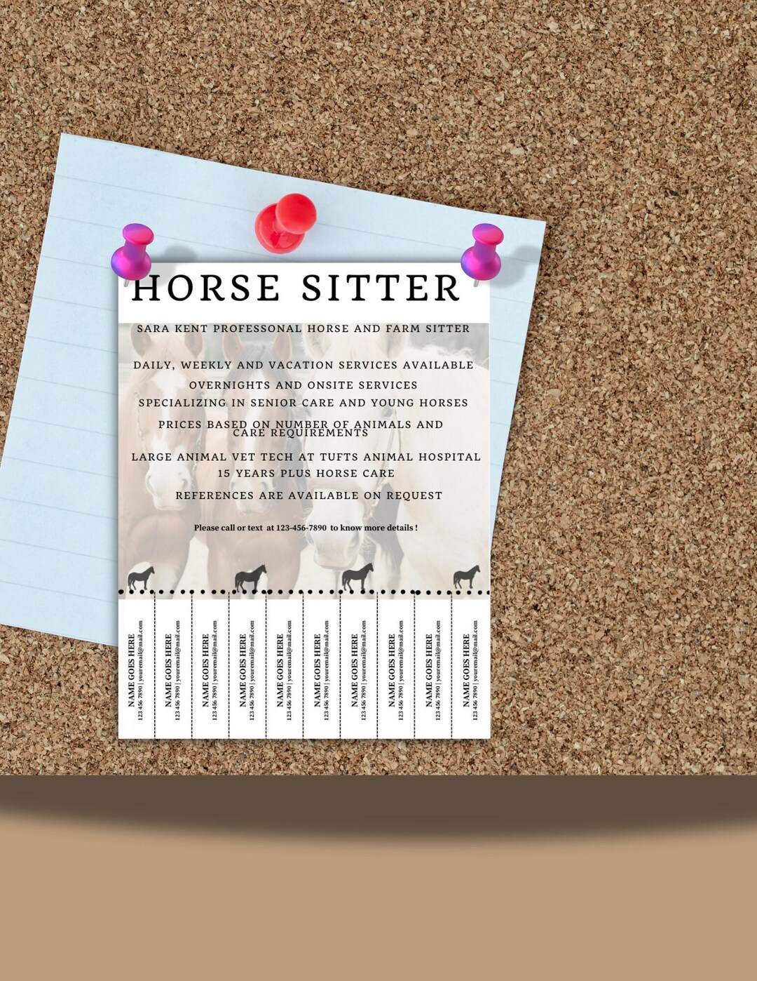 Horse Sitter Advertisement Tear Away Flyer/ Poster, Horse Care PDF ...