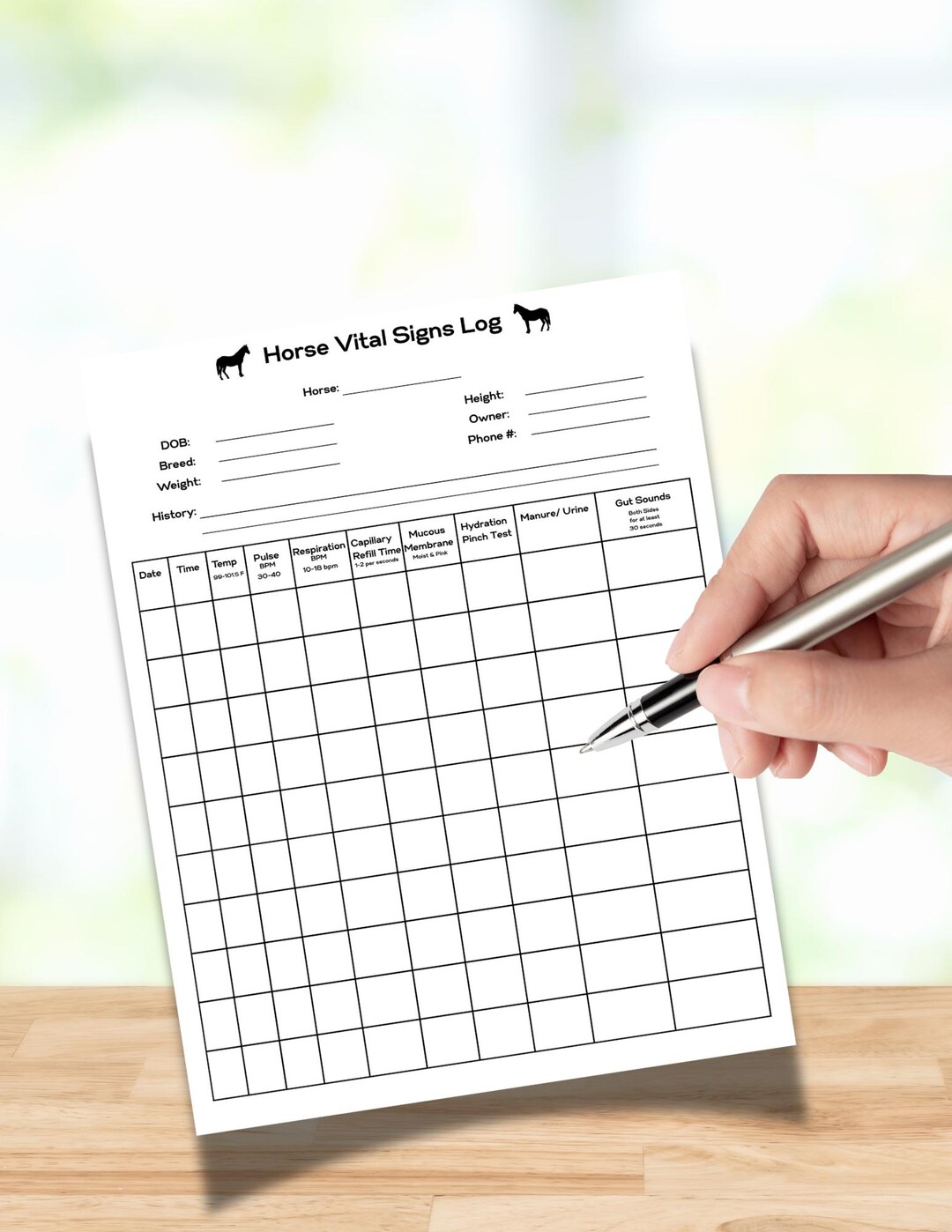 Printable Horse Vital Signs Tracker, Equine Health Log, Horse Knowledge ...
