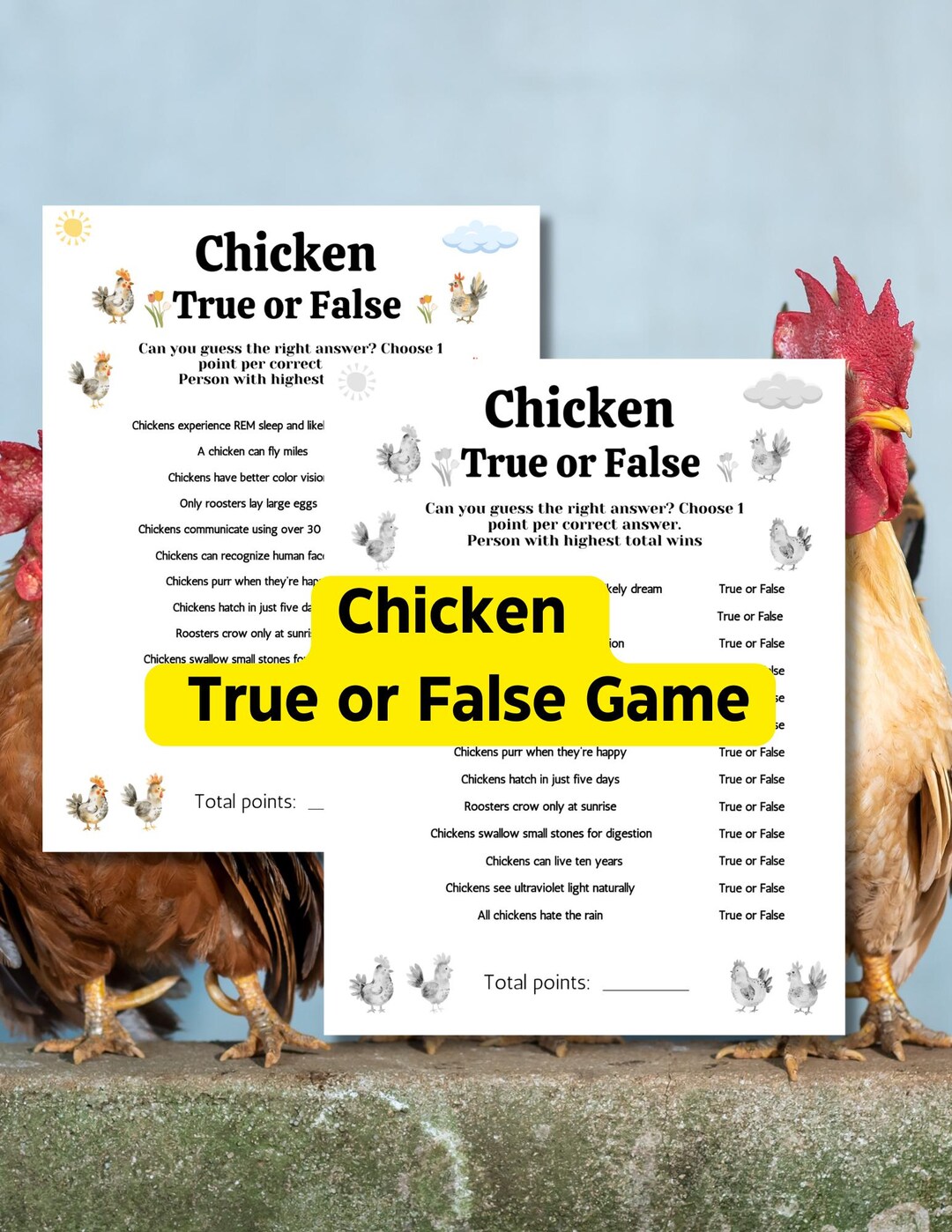 Chicken Themed Trivia,chicken True or False Game, Test Your Knowledge ...