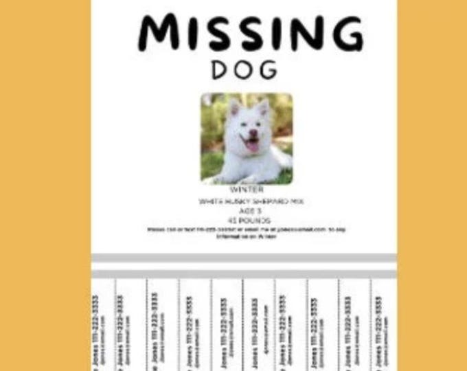 Missing Pet Poster Template: Canva Editable, Customizable, Instant ...