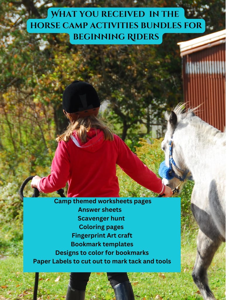 Horse Camp Activity Bundle:beginner Horse Camper Worksheets (ages 4-8 ...