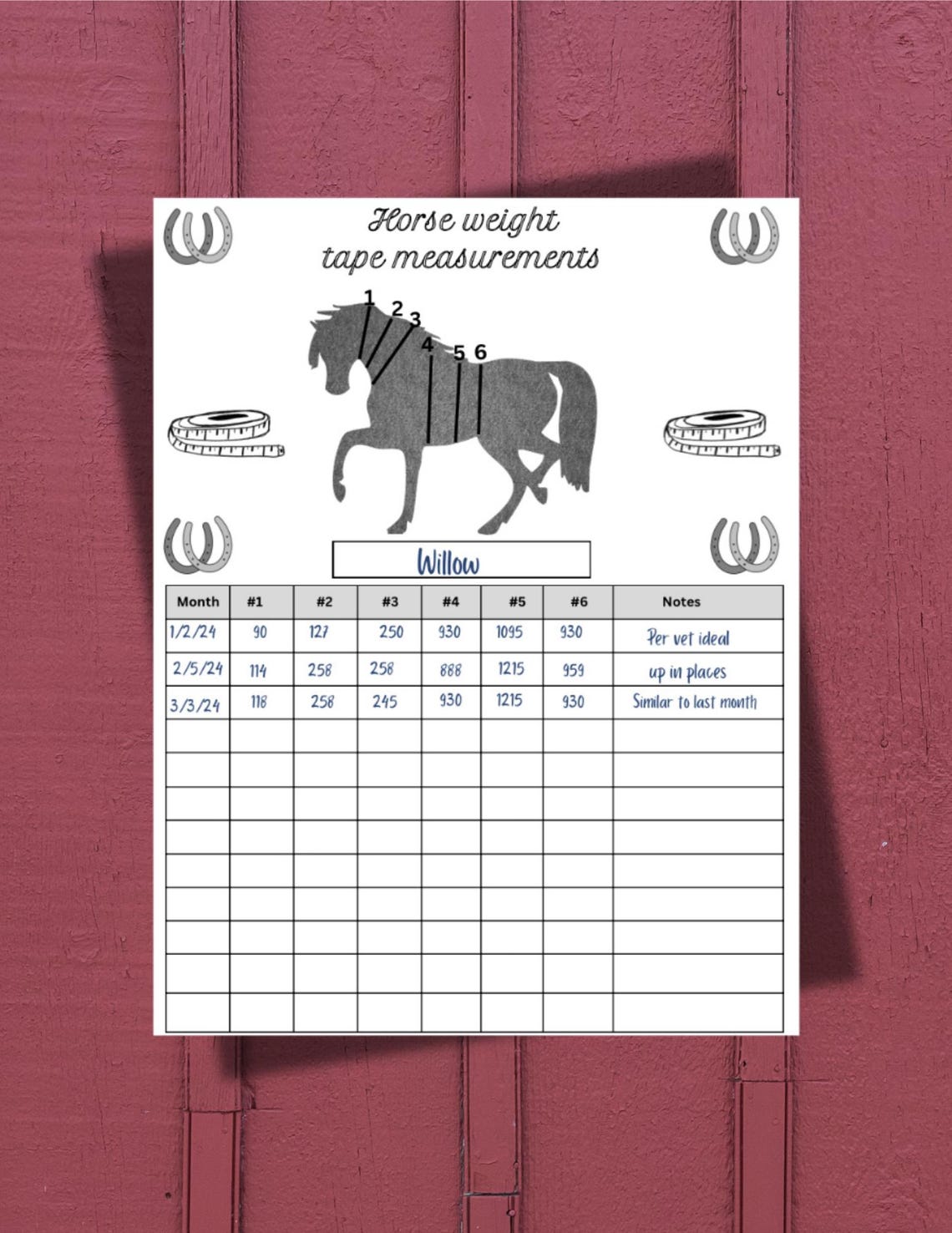 Horse Weight Tape Chart: 12 Months to List and Monitor Changes - Etsy