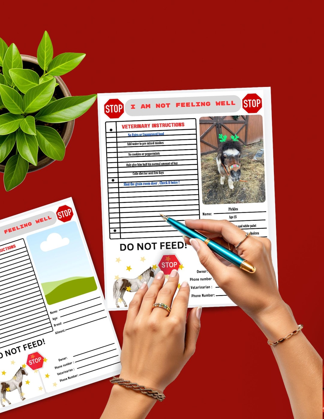 Stall Sign, Horse Veterinary Instructions or Sick or Injured Horse or ...