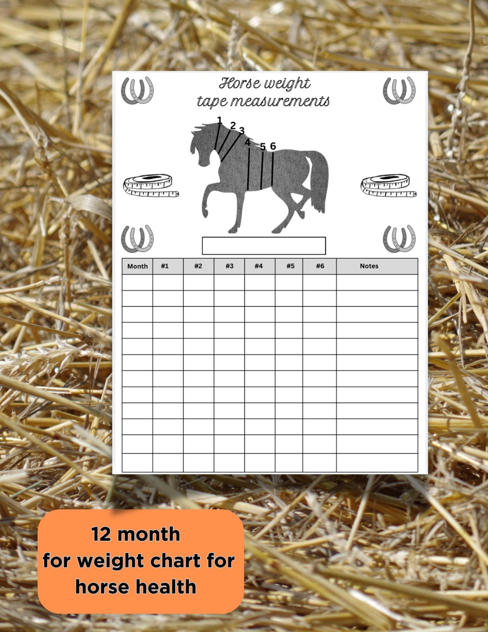 Horse Weight Tape Chart: 12 Months to List and Monitor Changes - Etsy