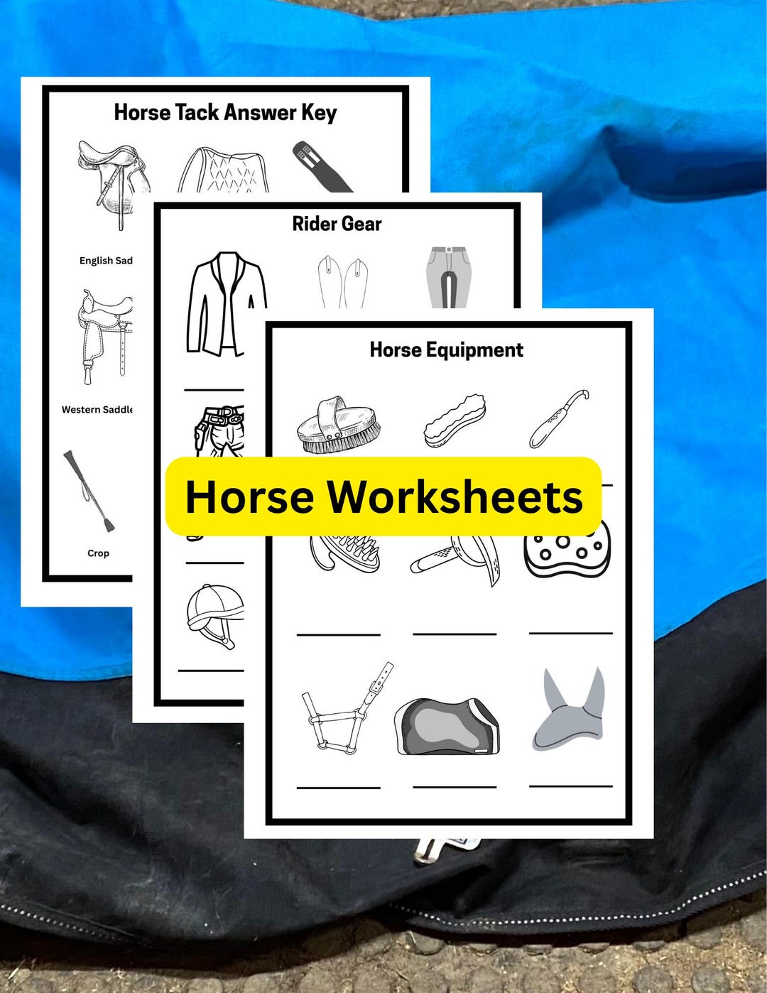 Horse Education Worksheets, Beginner Equestrian Learning, Horse Camp ...