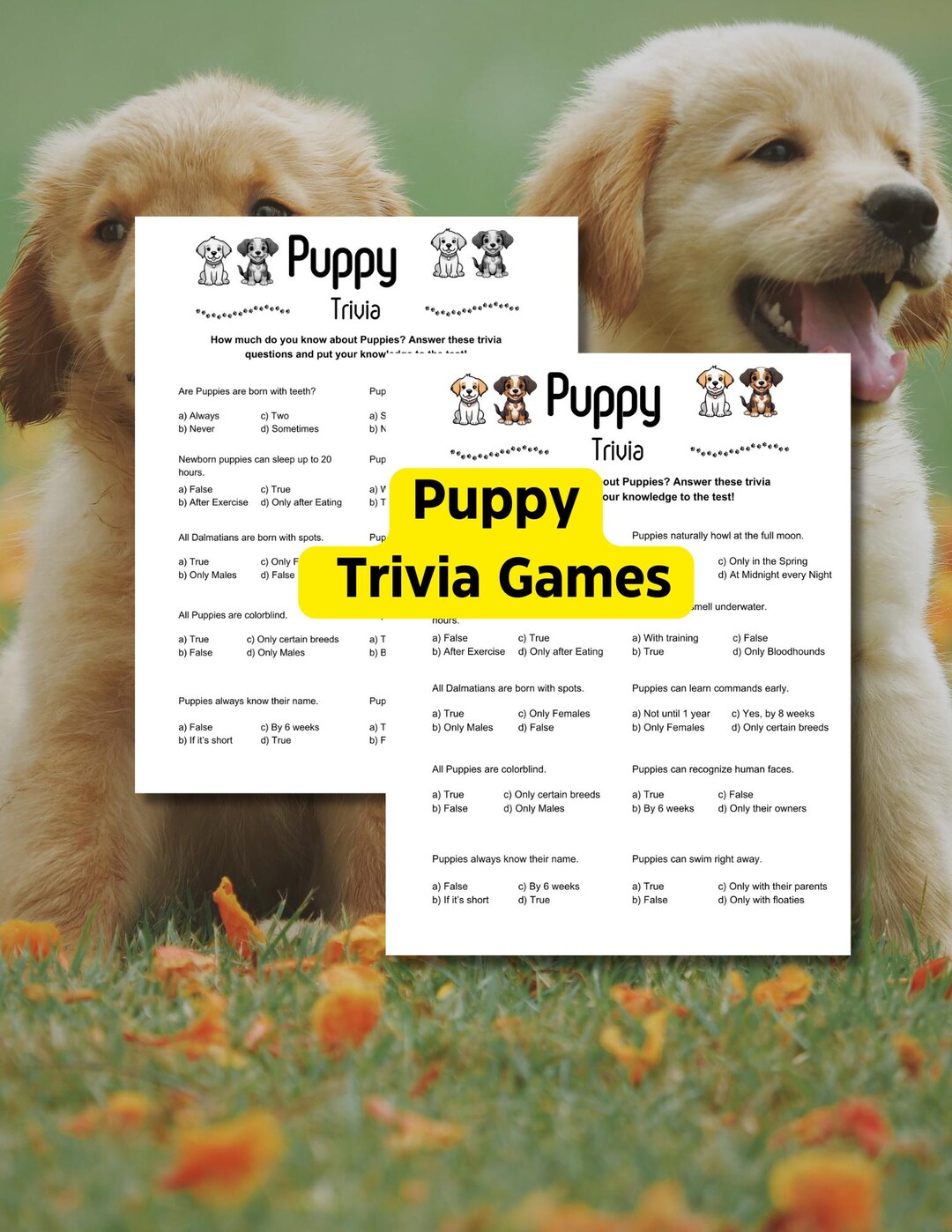 Puppy Trivia Game: Fun Dog Facts (printable PDF), Puppy Dog True or ...