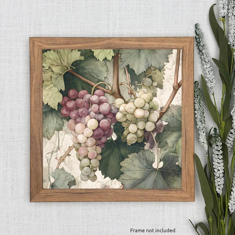 Watercolor Grapevine Wall Art Print With Green and Purple Grapes ...
