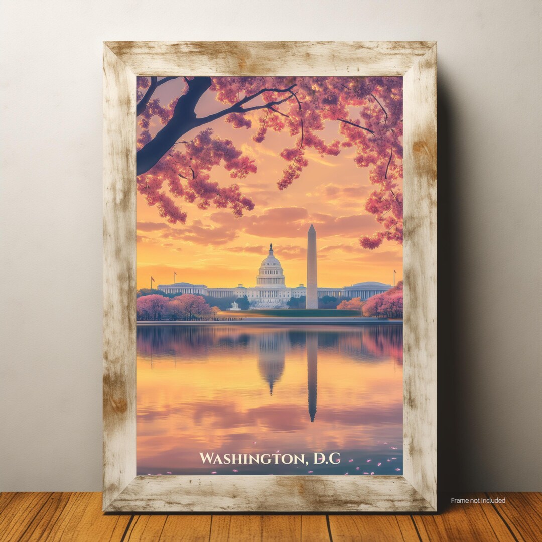 Washington DC Cherry Blossoms Poster - Stunning Sunset Capitol Building ...
