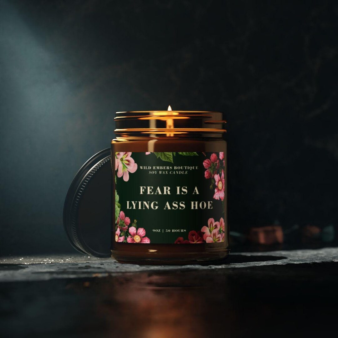 Fear is A Lying Hoe Candle: Funny Spiritual Gift - Etsy