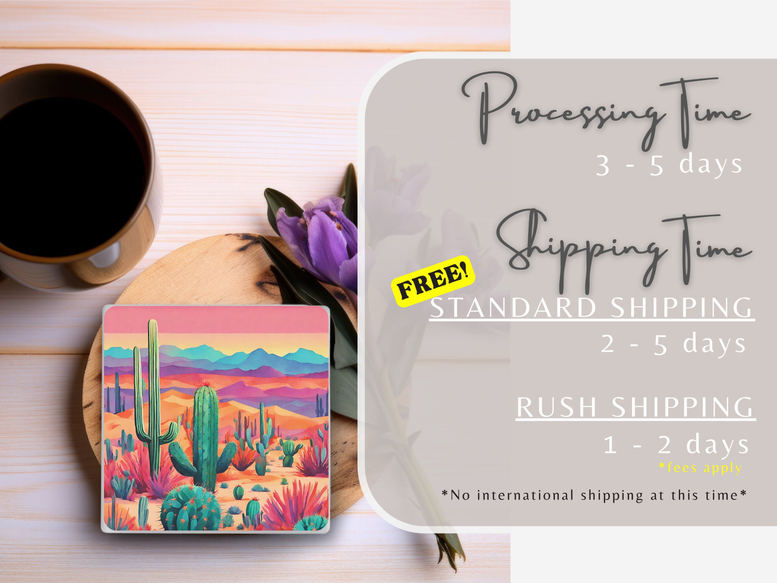 Cute Cactus Ceramic Coasters, Cool Desert Cactus Coasters Set of 4 ...