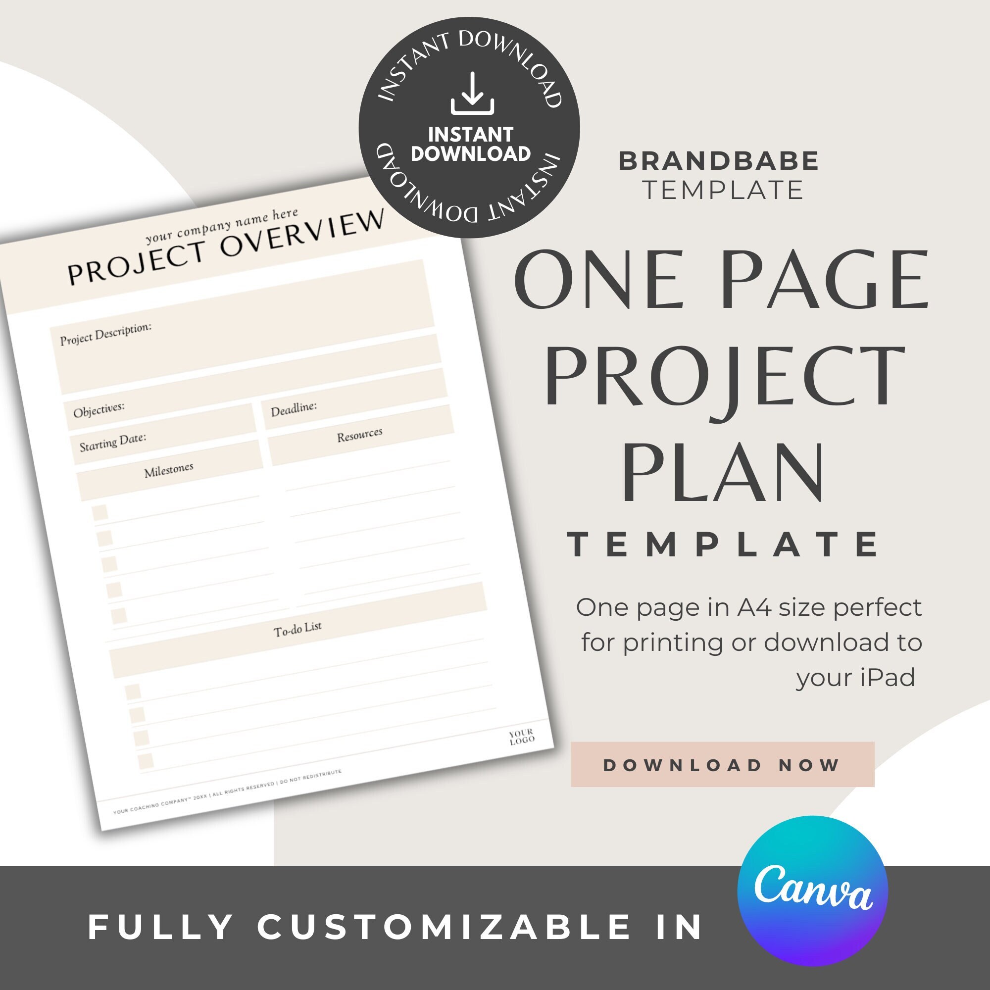 One Page Project Plan | Simple Project Plan | Project Overview Template ...