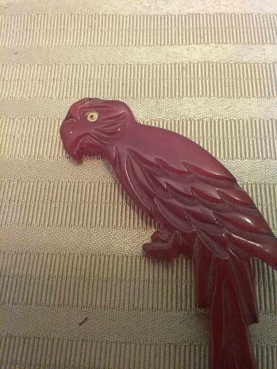 Parrot resin pin with glass eye - Gem