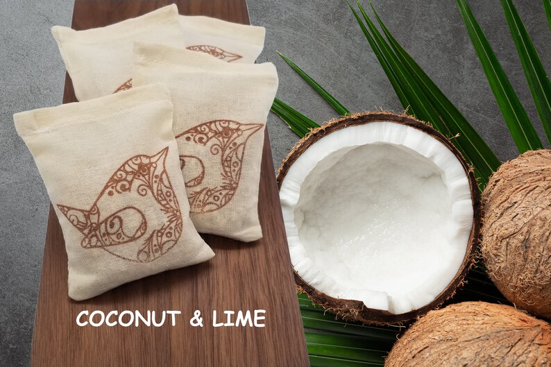 Coconut & Lime Scented Sachets Set of 4 Air Freshener Party Favor ...