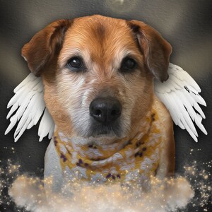 Custom Digital Angel Pet Portrait - Etsy