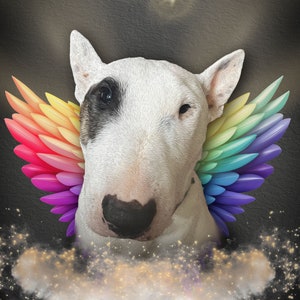 Custom Digital Angel Pet Portrait - Etsy