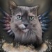 Custom Digital Angel Pet Portrait - Etsy