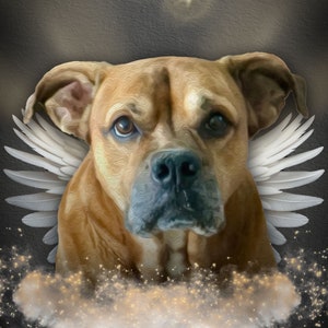 Custom Digital Angel Pet Portrait - Etsy