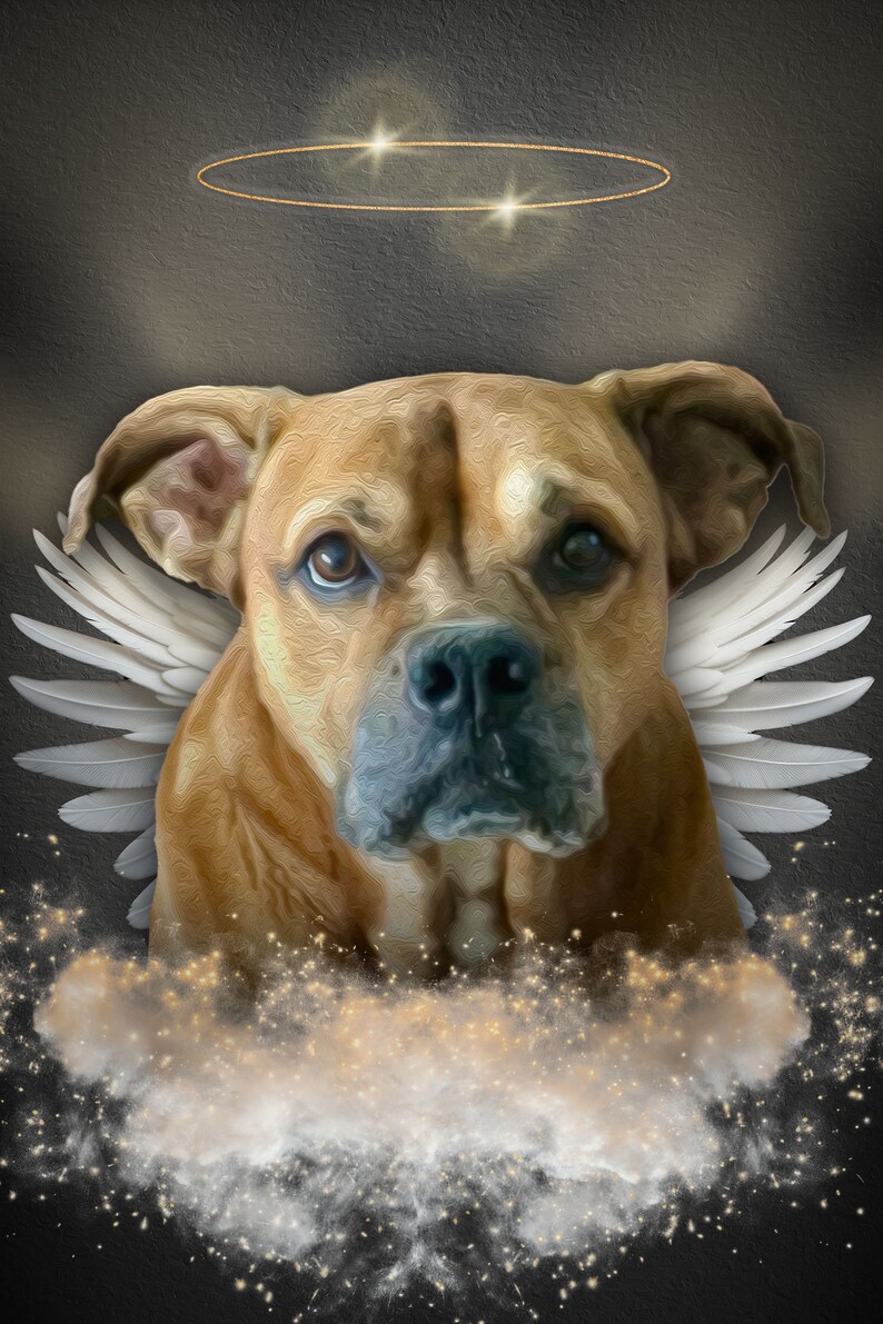 Custom Digital Angel Pet Portrait - Etsy