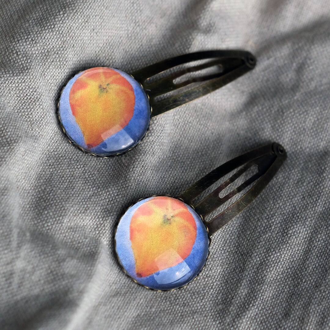 Set of 2 Clic-clac Hair Barrettes, Squash Pattern - Etsy