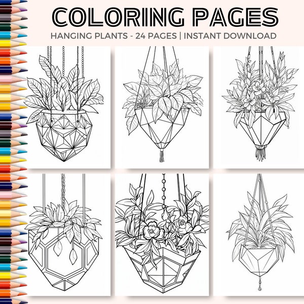 Hanging Plant - Etsy