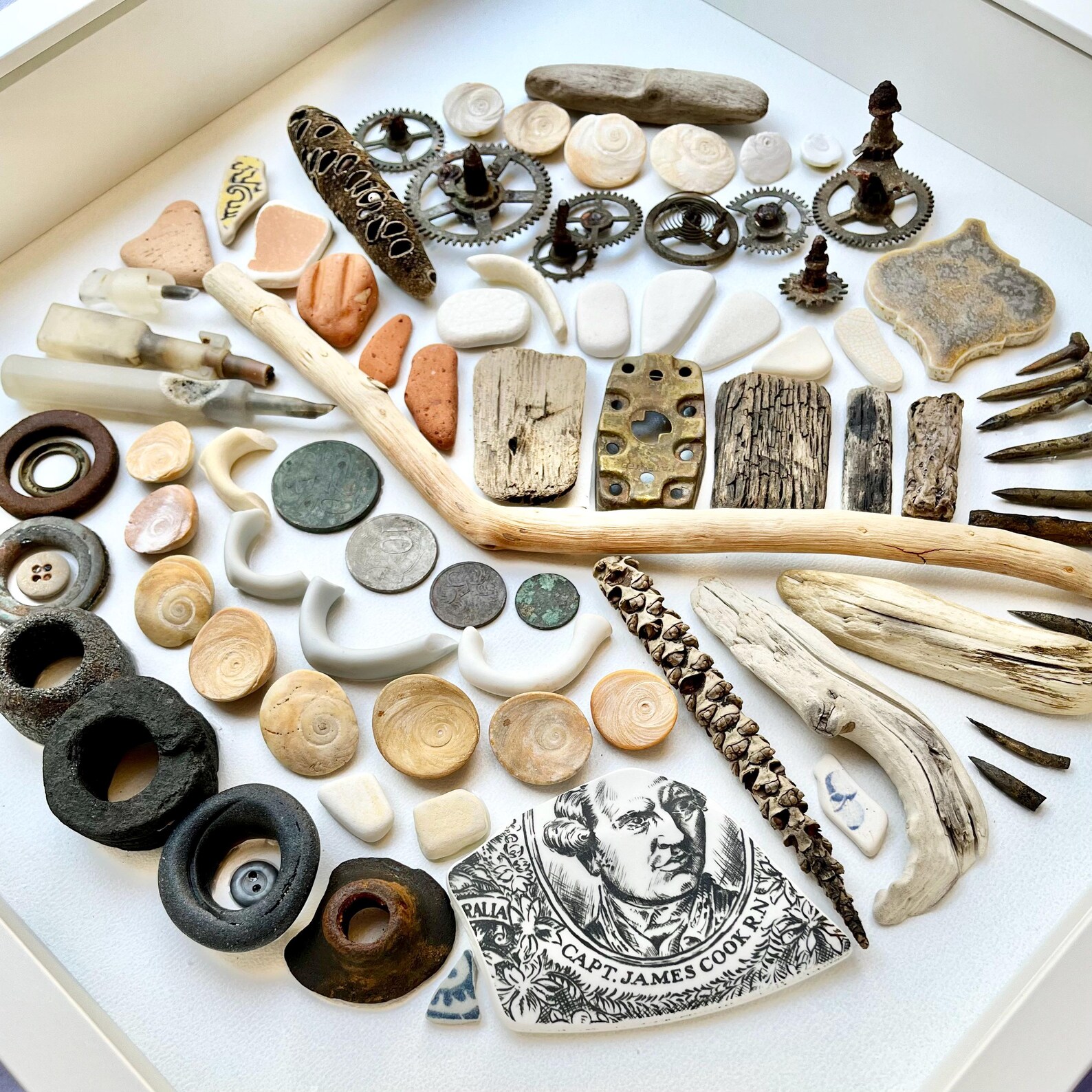 Beach-found Objects Collage Flat Lay Art in 35cm White Shadow Box Frame on White Background - Etsy
