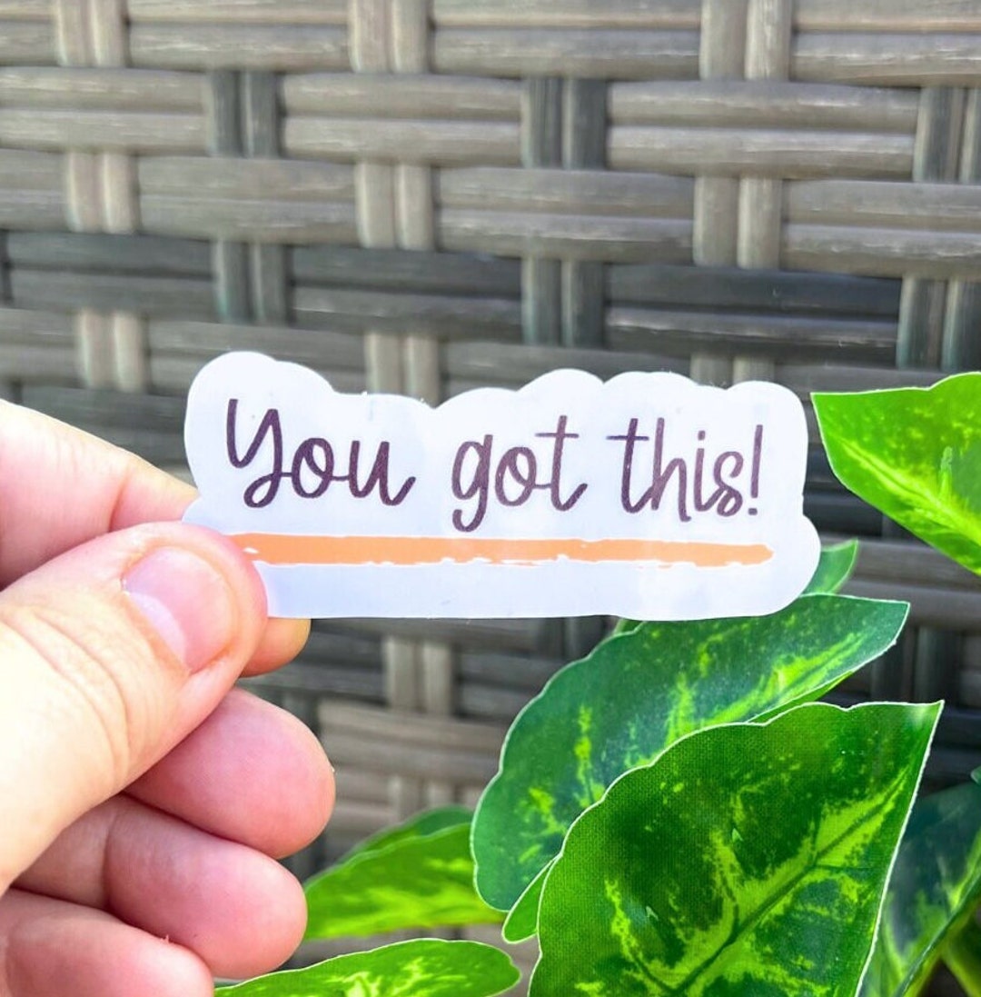 You Got This Sticker Vinyl Laminated Waterproof for Waterbottle, Laptop ...