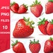 Strawberry Clipart, 10 Designs, PNG JPEG Bundle, Fruit Clipart, Digital ...