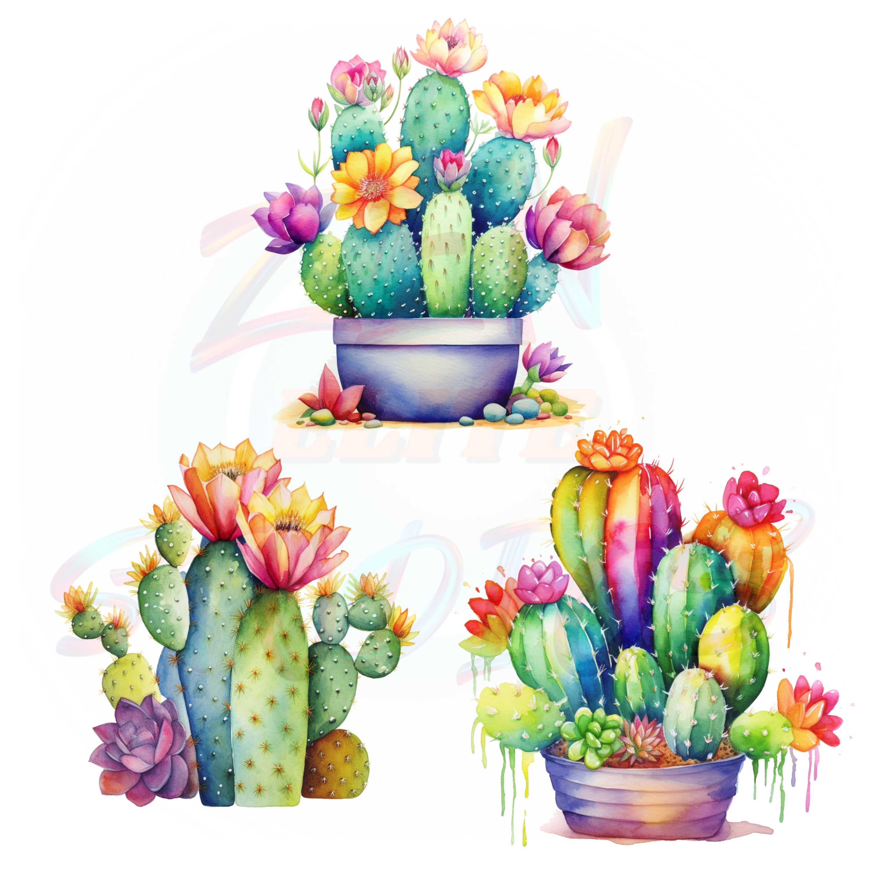 Rainbow Cactus Clipart - 8 Designs, Cacti Clipart Bundle, Purple Cactus ...