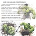 Hulk Smash PNG, PDF Set, 5 Designs, 300 DPI, Transfer Graphic for ...