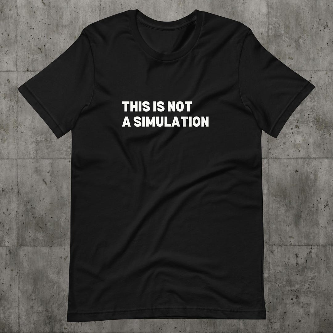 This is Not a Simulation T-shirt, Tshirt Women, Tshirt Men, Slogan ...