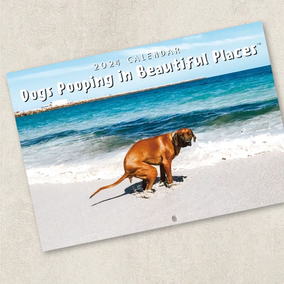 Zceplem Wall Calendar 2023 Pooping Dog Wall Calendar 12 - Etsy