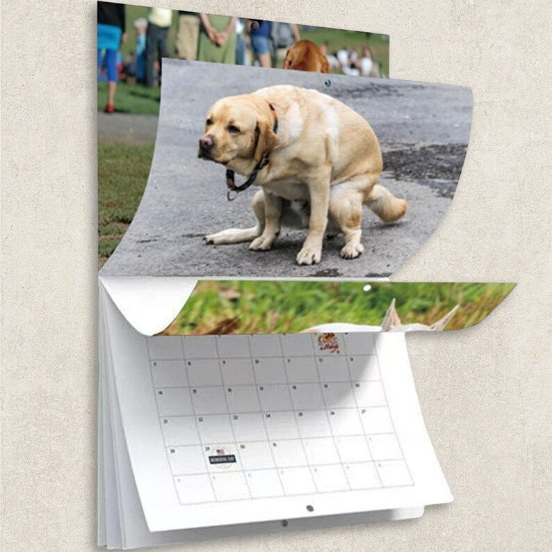 Zceplem Wall Calendar 2023 Pooping Dog Wall Calendar 12 - Etsy