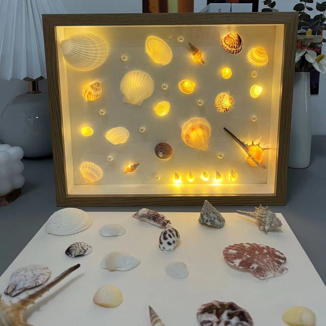 Moon-shaped Shell Painting Conch Diy Photo Frame Night Light - Etsy