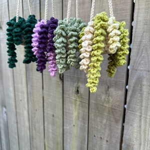 Crochet Hanging Burro's Tail Plant Pattern: Succulent PDF (digital ...