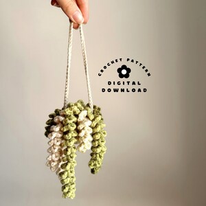Crochet Hanging Burro's Tail Plant Pattern: Succulent PDF (digital ...