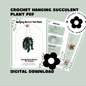 Crochet Hanging Burro's Tail Plant Pattern: Succulent PDF (digital ...