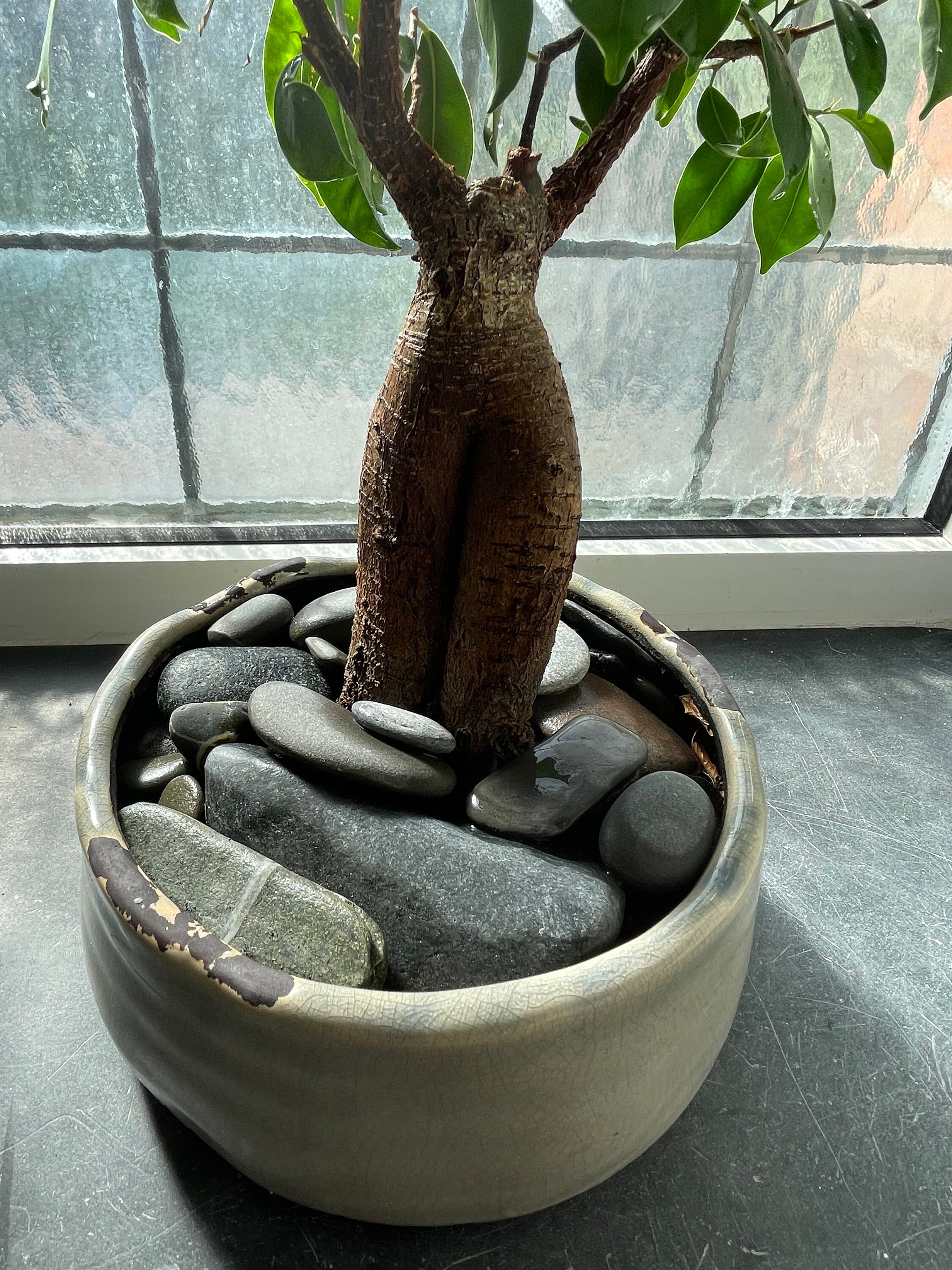 37 Bonsai Beach Pebbles in Various Sizes and Colours. Natural,organic ...