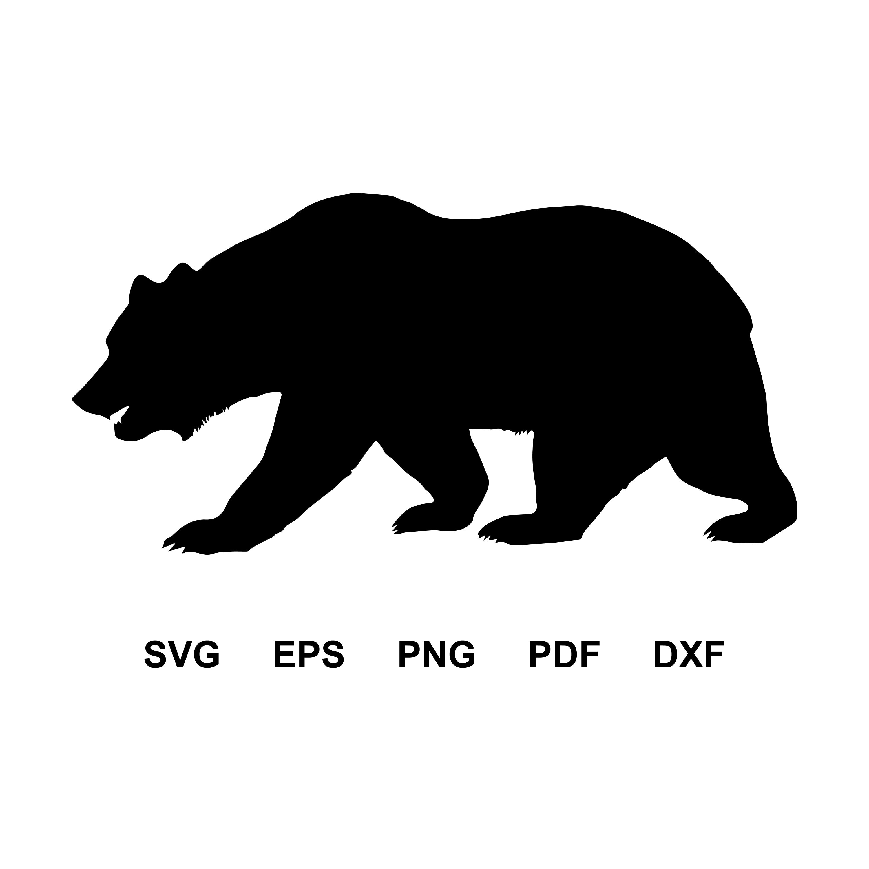 Bear Svg | Eps, Pdf, Png | for Cricut | Printable - Etsy