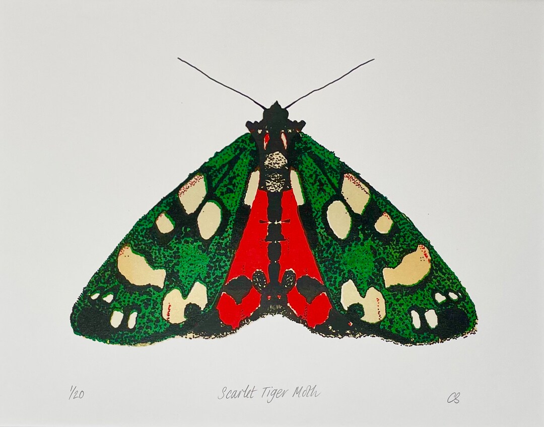 Scarlet Tiger Moth - Original Limited Edition Screenprint - Etsy