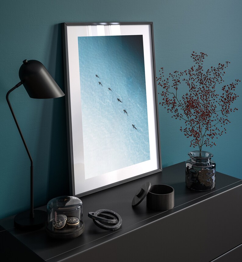 Framed Print of Shark Sanctuary in Coral Bay, Western Australia - Etsy