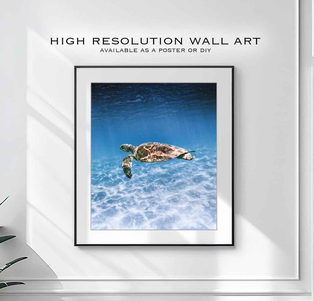 Digital Download Poster of A Turtle on the Ningaloo Reef, Western ...