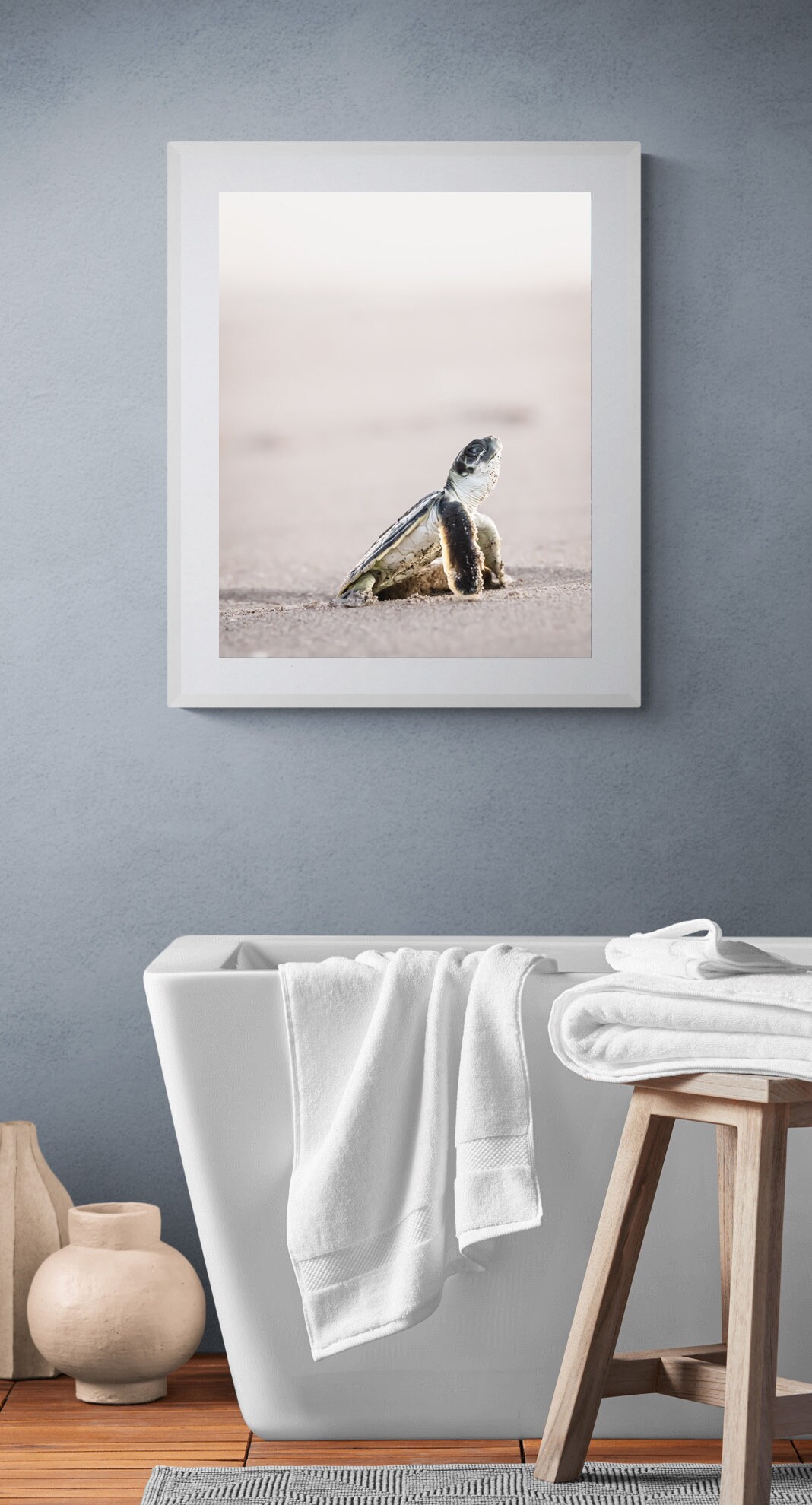 Digital Download Poster of A Newborn Turtle Hatchling at Eighty Mile ...
